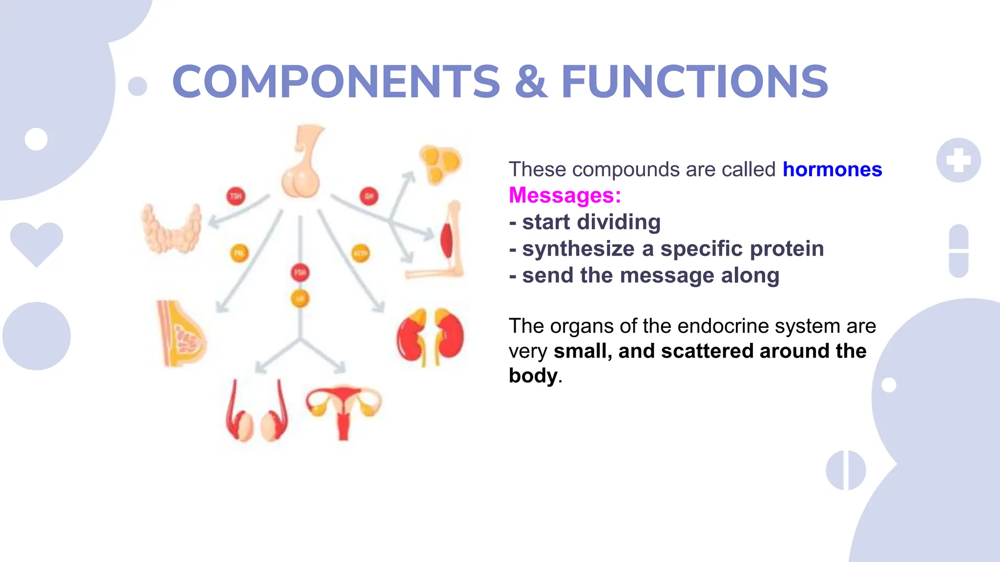 Endocrine-System.pptxxxxxxxxxxxxxxxxxxxxxxxxxx | PPTX