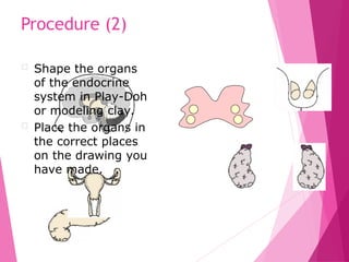 Endocrine-System-PPT Endocrine-System-PP | PPT