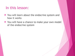 Endocrine-System-PPT Endocrine-System-PP | PPT
