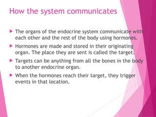 Endocrine-System-PPT Endocrine-System-PP | PPT