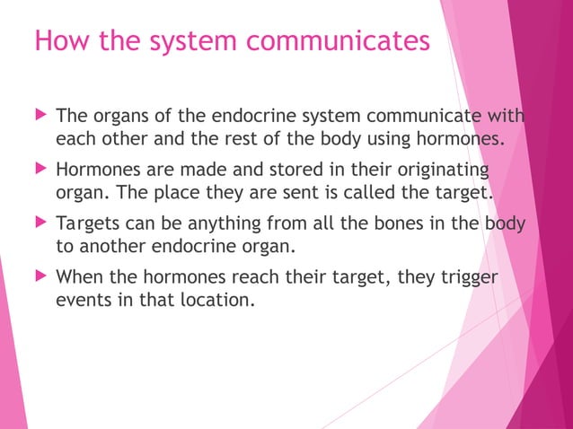 Endocrine-System-PPT Endocrine-System-PP | PPT