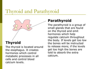 Endocrine-Systemd d c s cdsc sdc dsc .ppt
