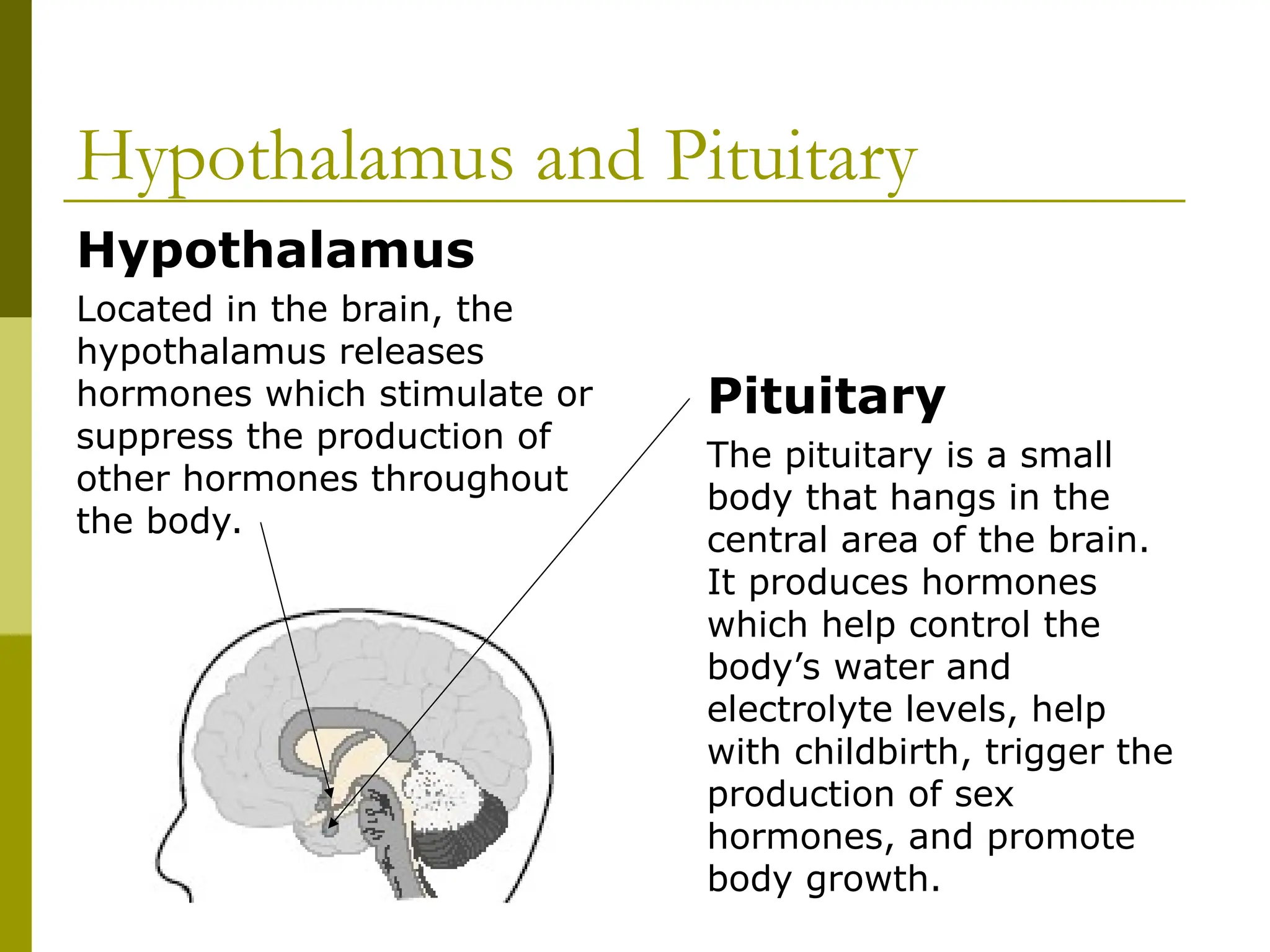 chap 1 psychology cssEndocrine-System.ppt