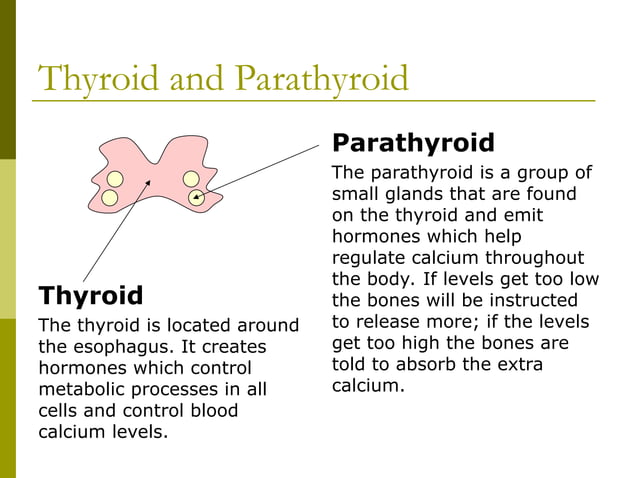 chap 1 psychology cssEndocrine-System.ppt