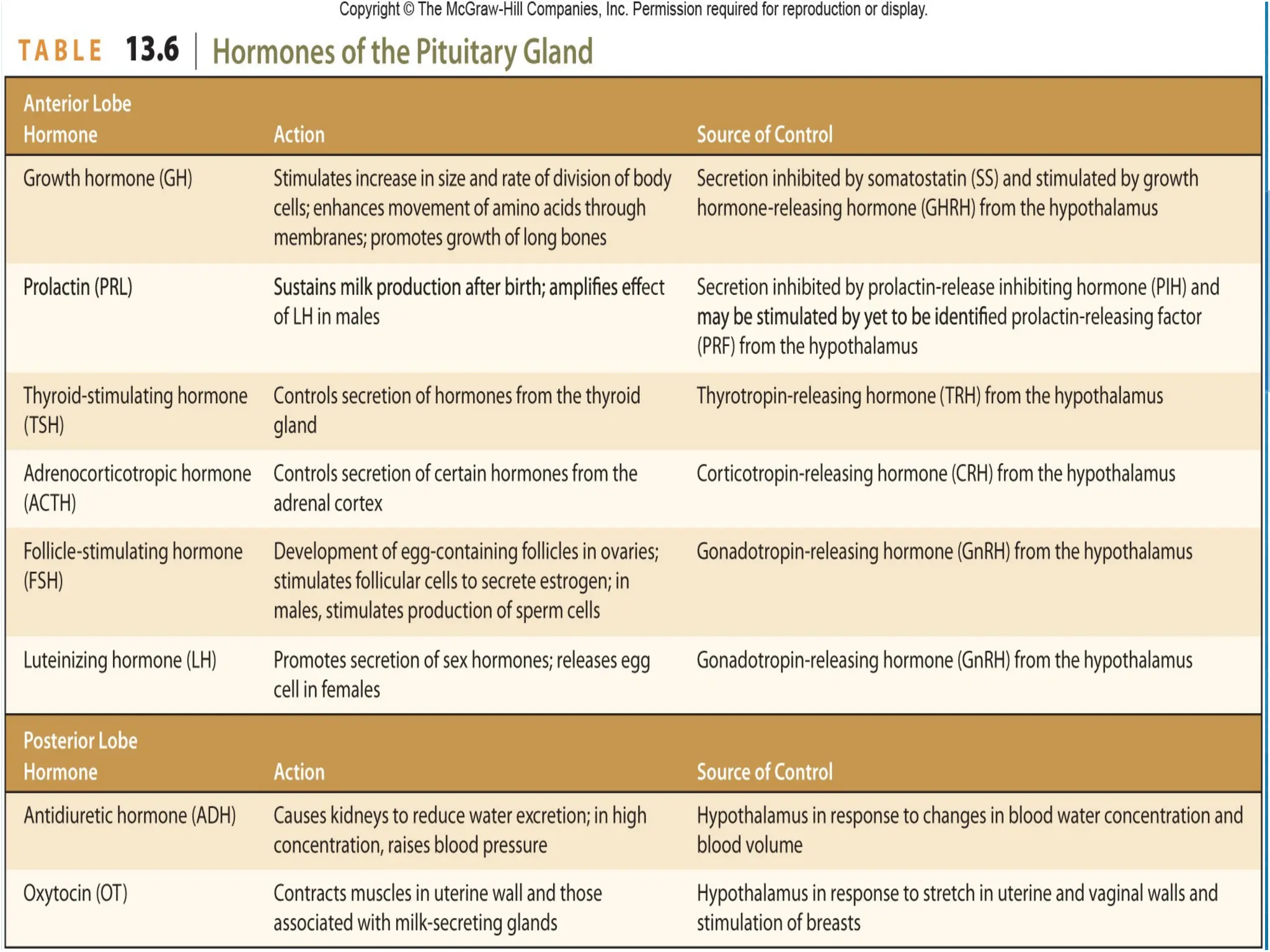 ENDOCRINE-SYSTEM all about the endocrine | PPT