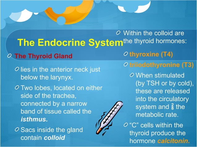 ENDOCRINE-SYSTEM all about the endocrine | PPT