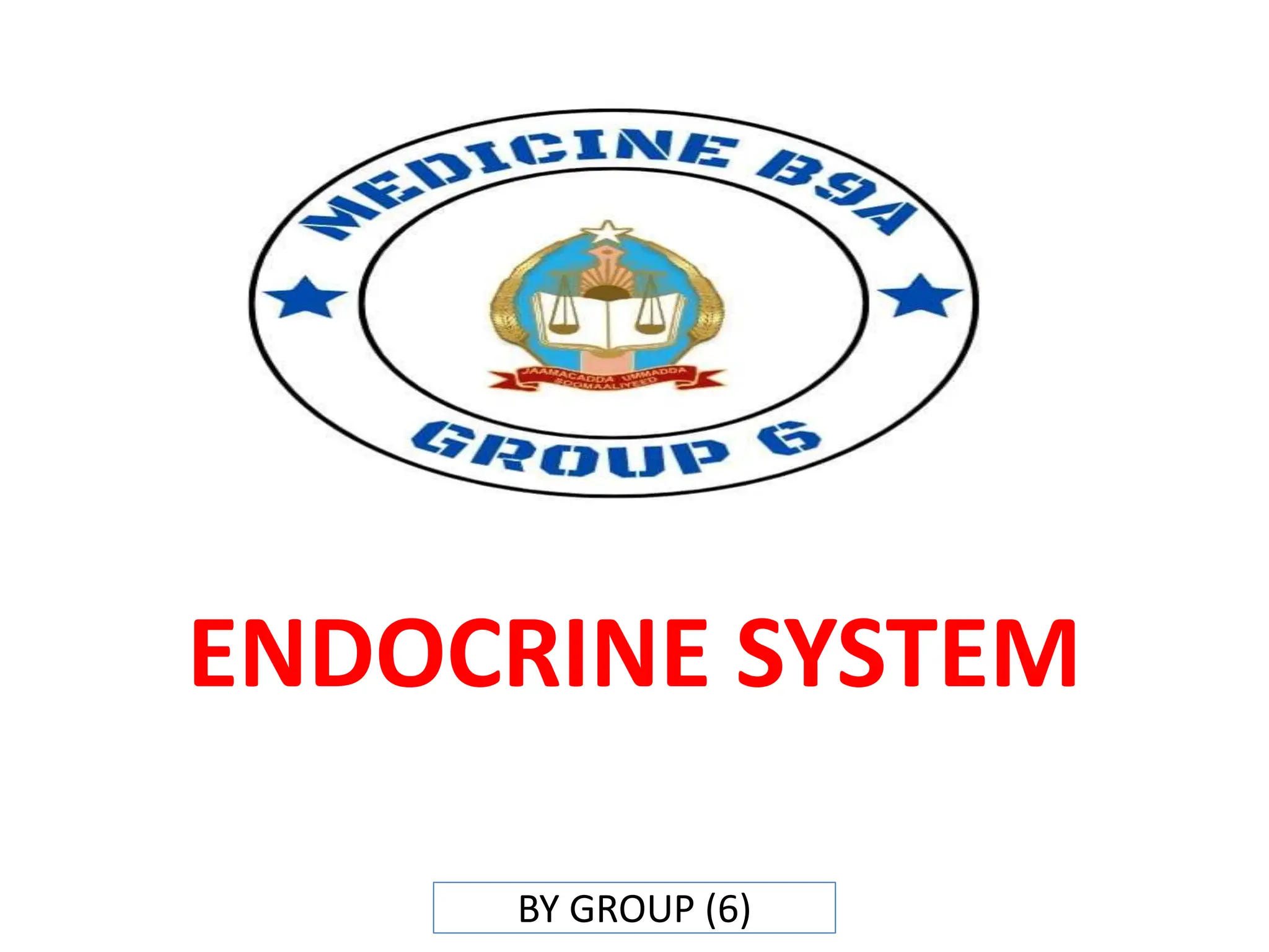 endocrine-System-Group6.pptx