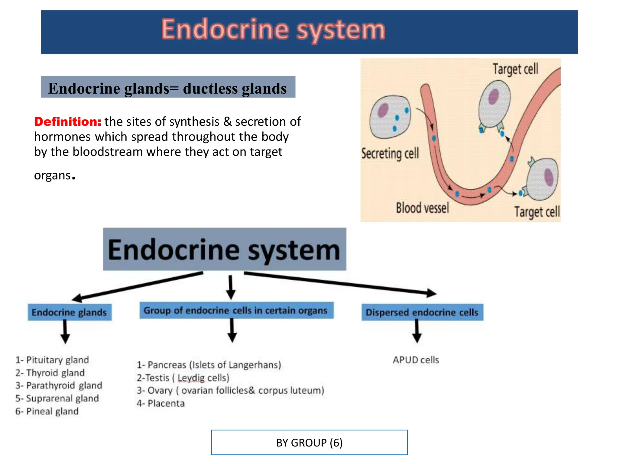 endocrine-System-Group6.pptx
