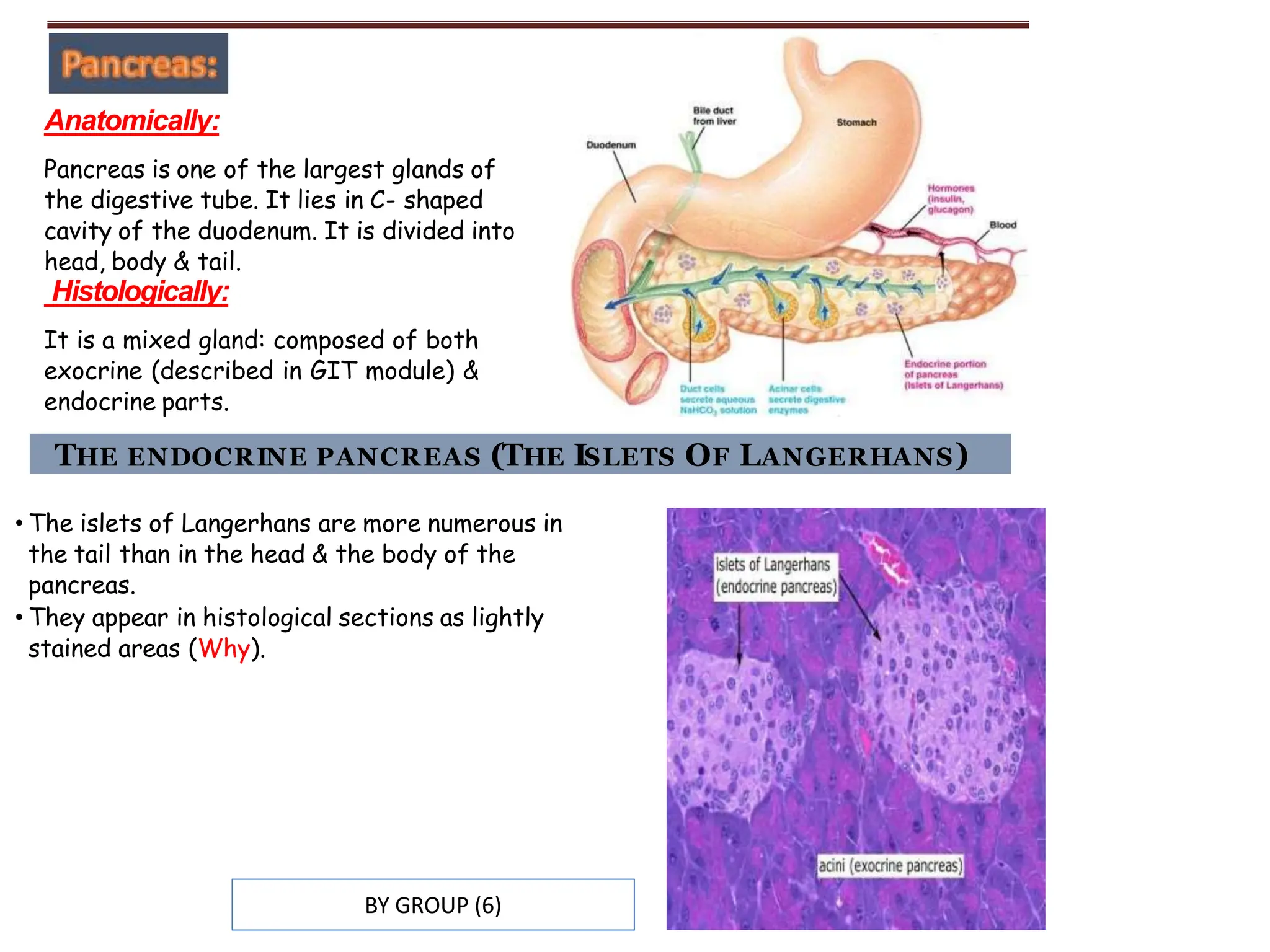 endocrine-System-Group6.pptx