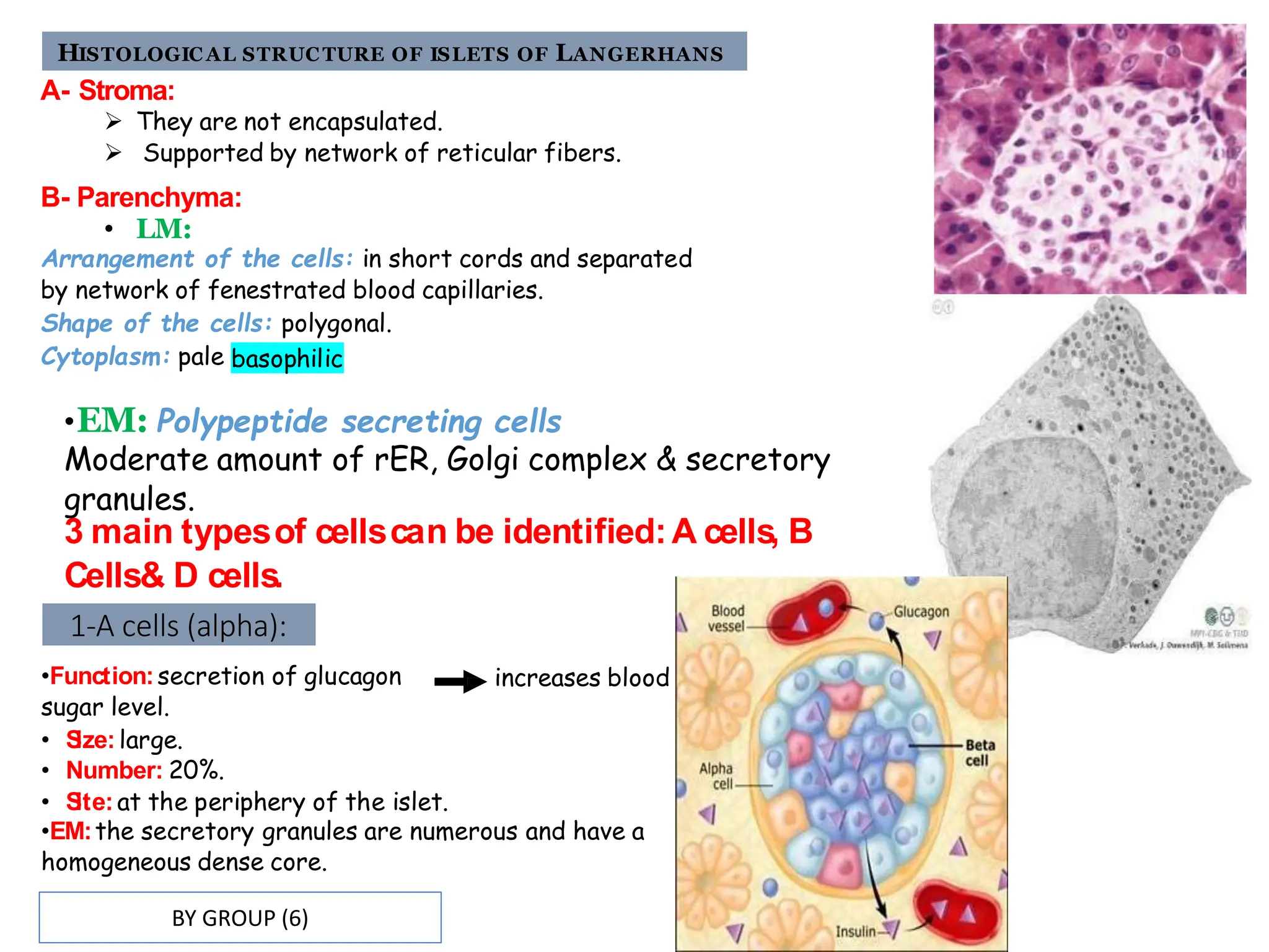 endocrine-System-Group6.pptx