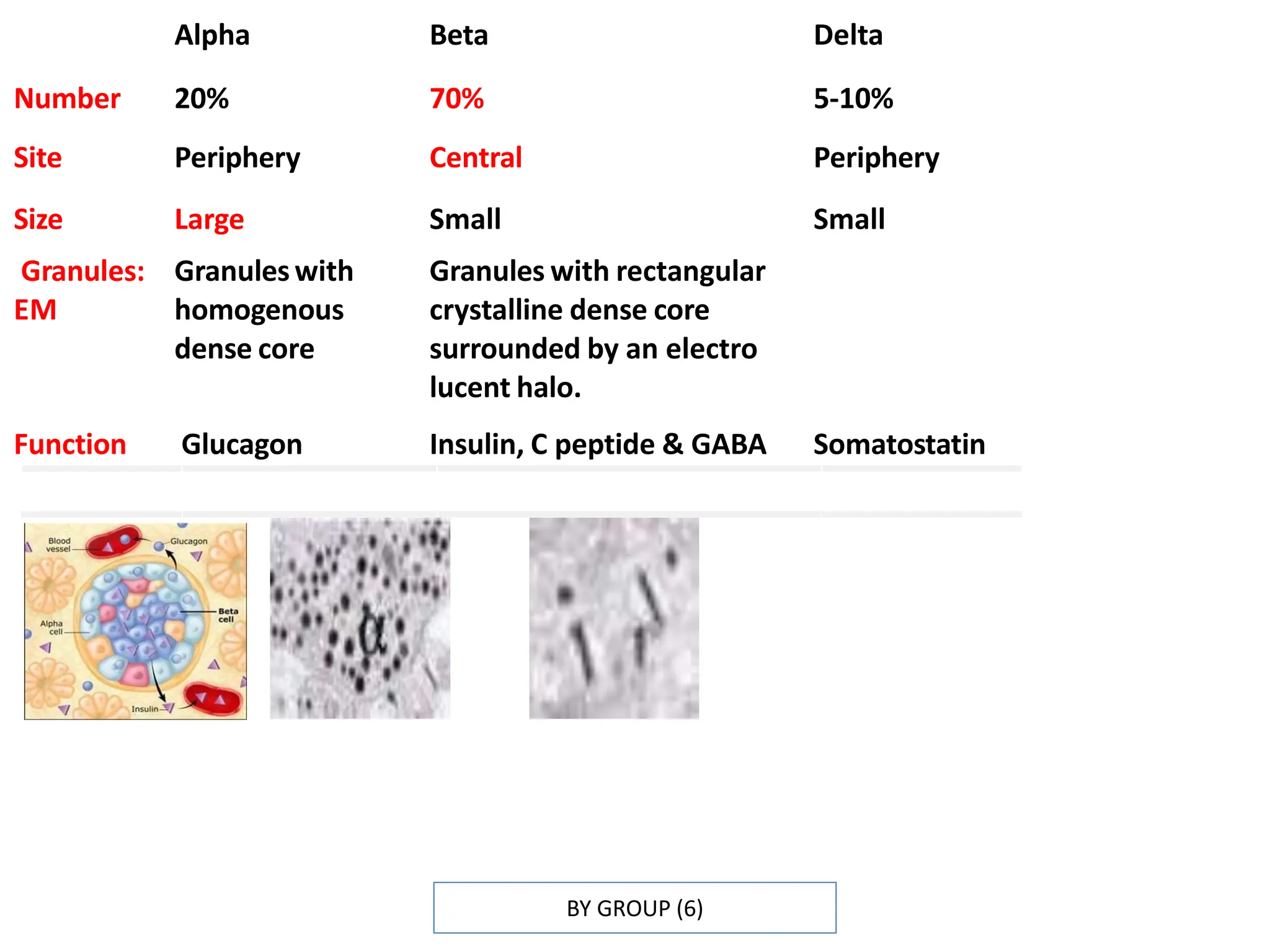 endocrine-System-Group6.pptx