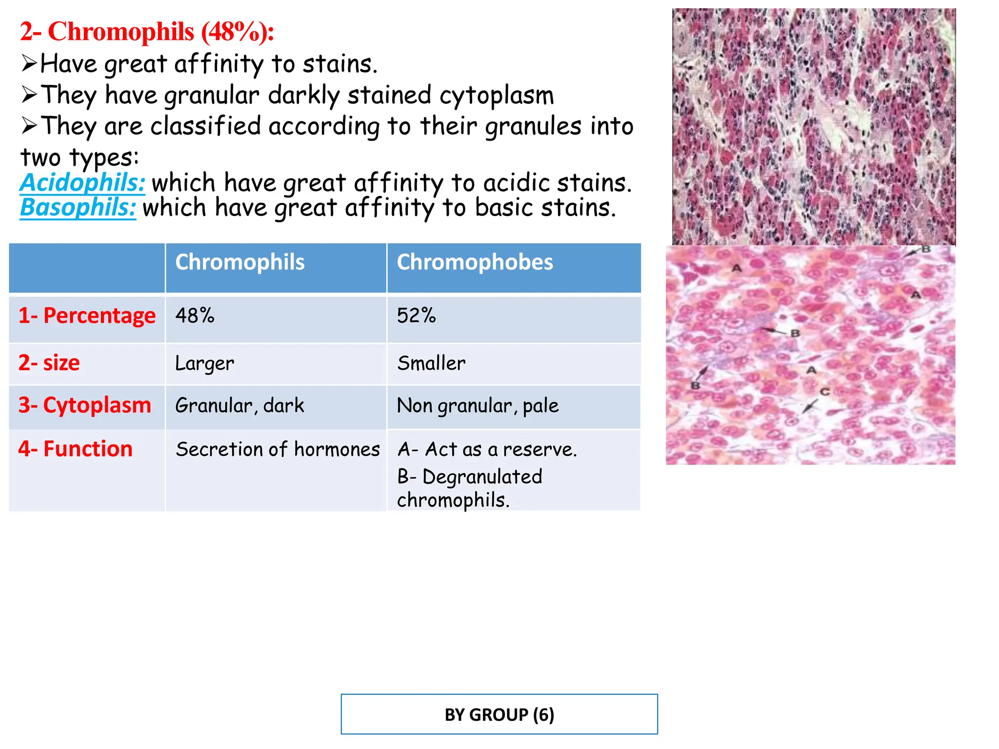 endocrine-System-Group6.pptx