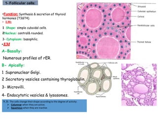 endocrine-System-Group6.pptx