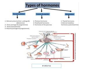 endocrine-System-Group6.pptx