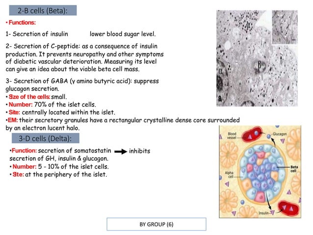 endocrine-System-Group6.pptx