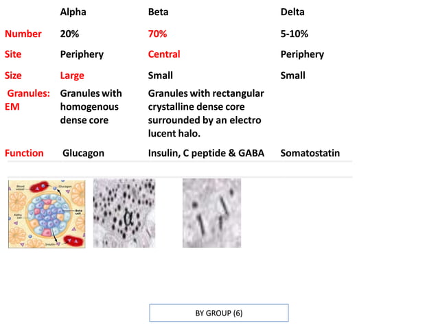 endocrine-System-Group6.pptx