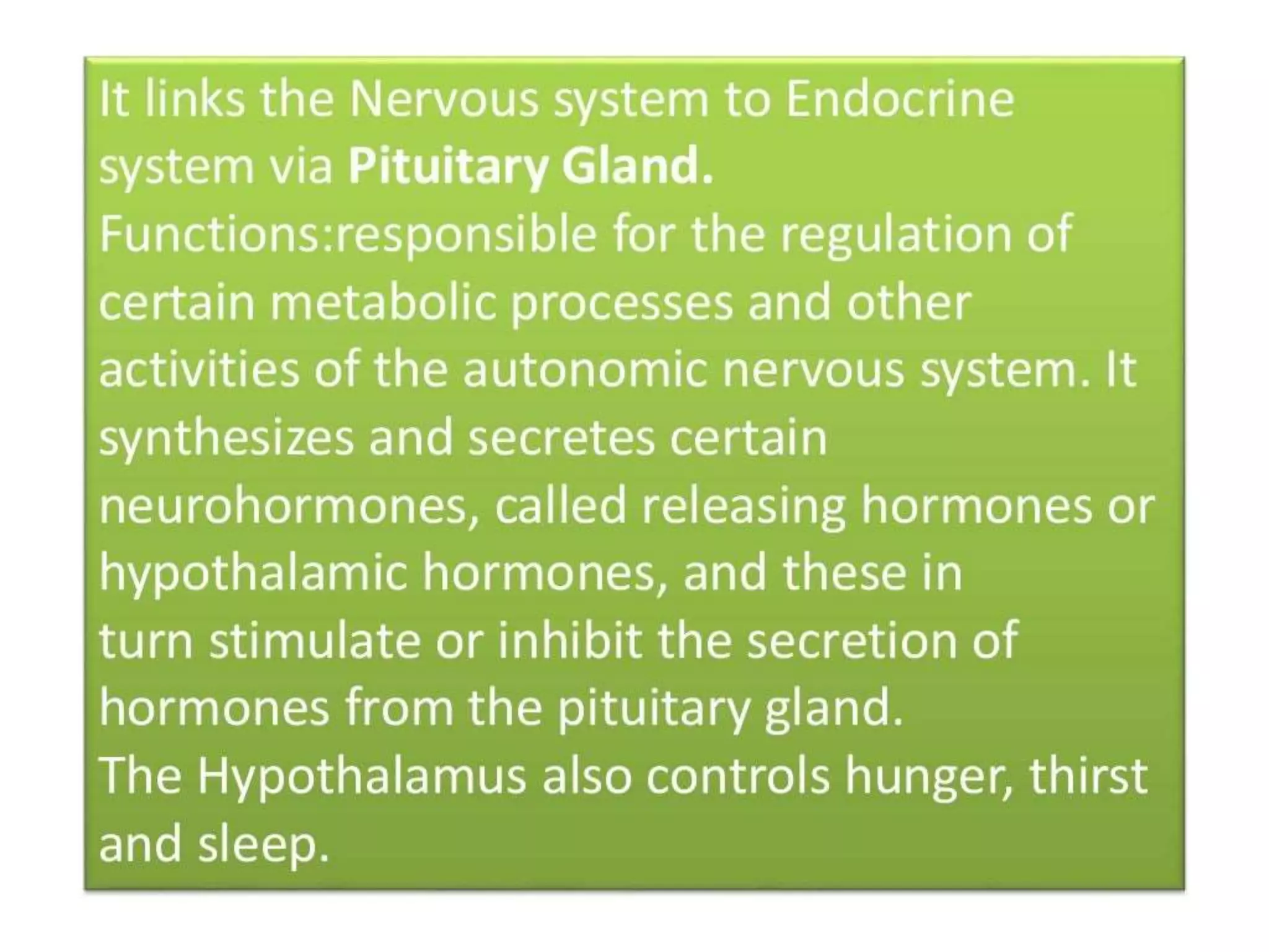 endocrine-system-PPT.pptx | Free Download