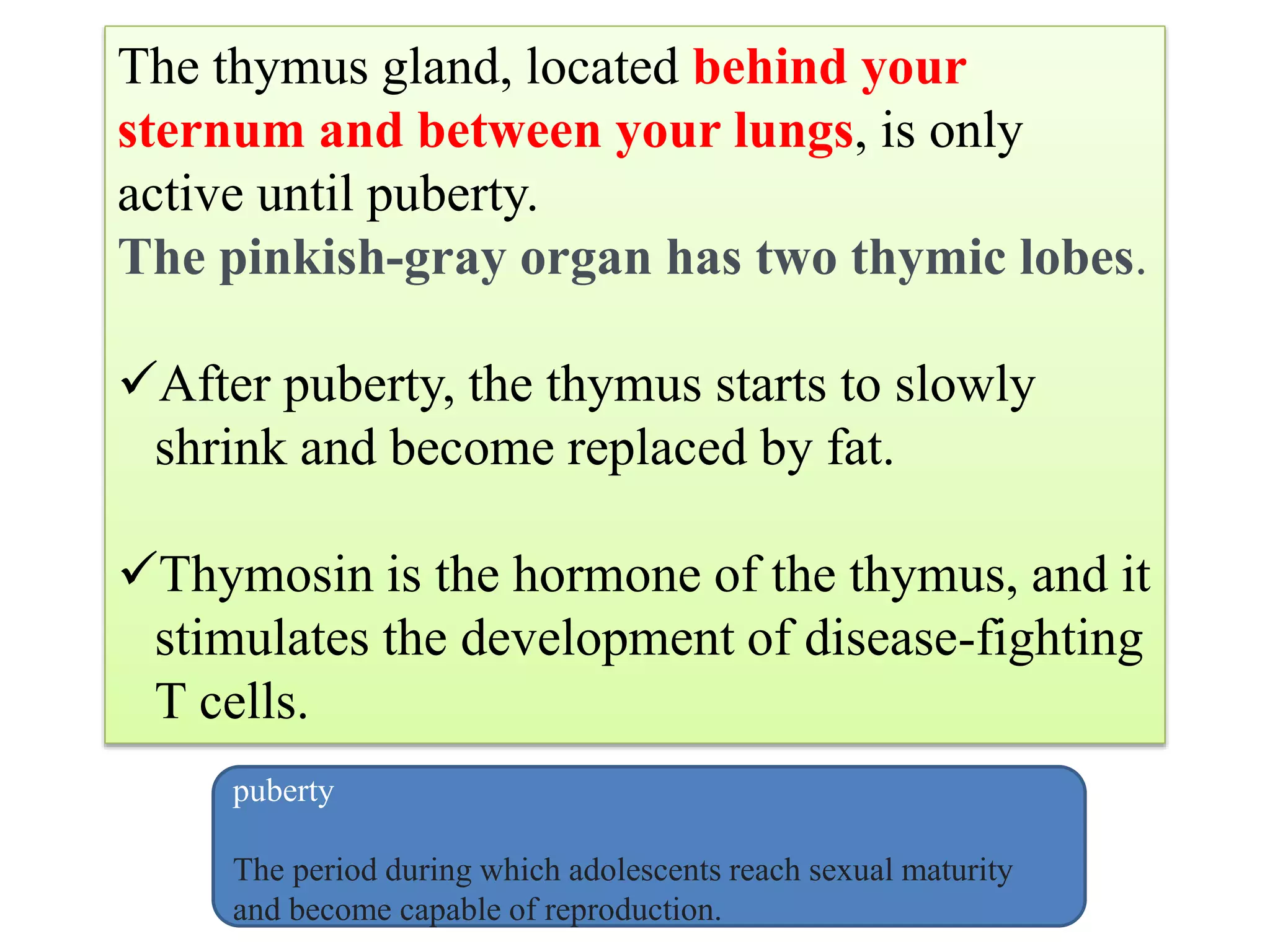 endocrine-system-PPT.pptx