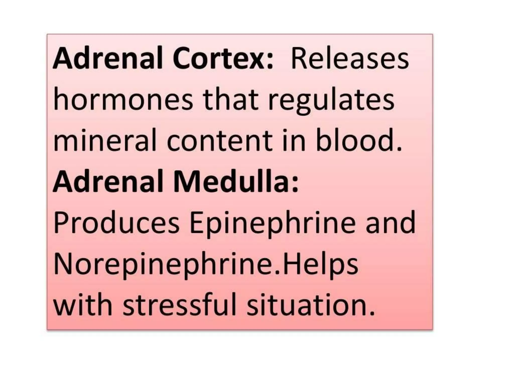 endocrine-system-PPT.pptx