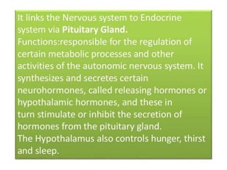 endocrine-system-PPT.pptx
