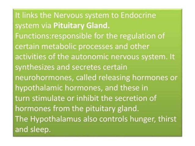endocrine-system-PPT.pptx