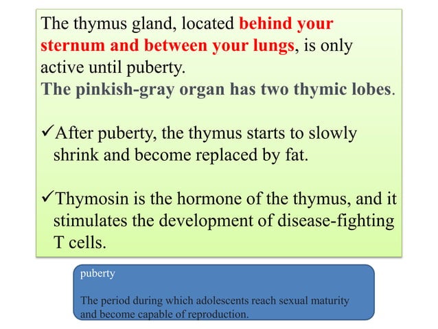 endocrine-system-PPT.pptx
