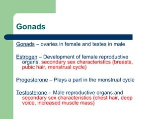 Endocrine-System Anatomy and Physiology.ppt