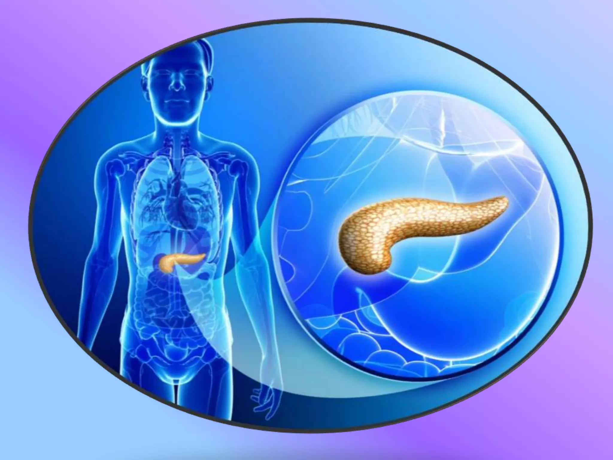 Endocrine Glands (Structure and Function) | PPTX