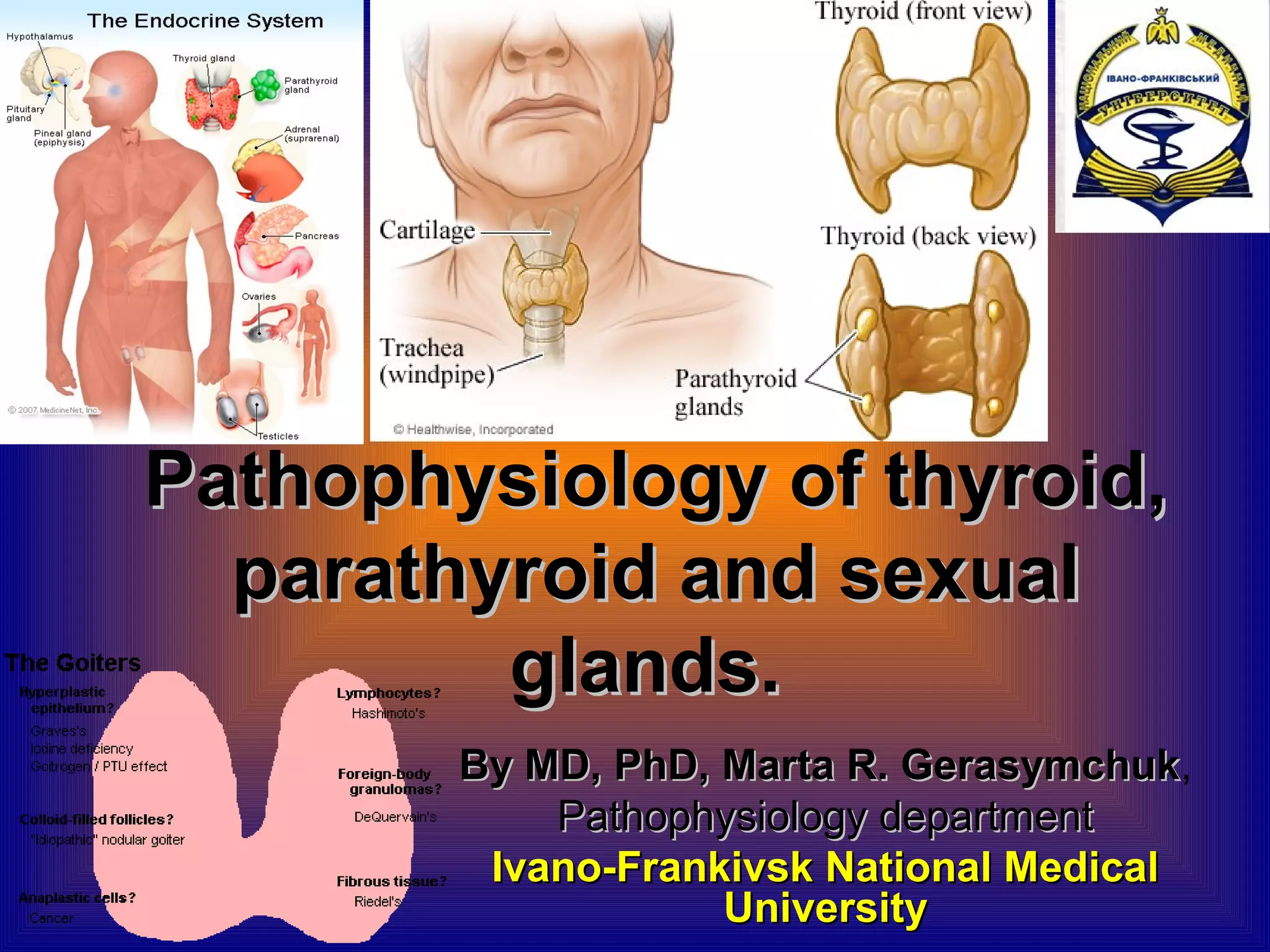 Pathophysiology of the thyroid, parathyroid and sexual glands | PPT