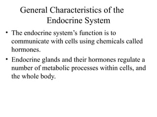 endocrine endocrine system 1 overview .ppt