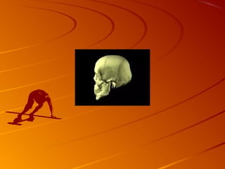 Jane Bunford Skeleton