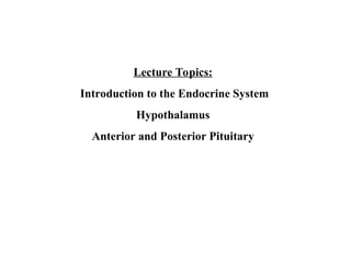 endocrine 25.ppt pot endocrine endocrine | PPT