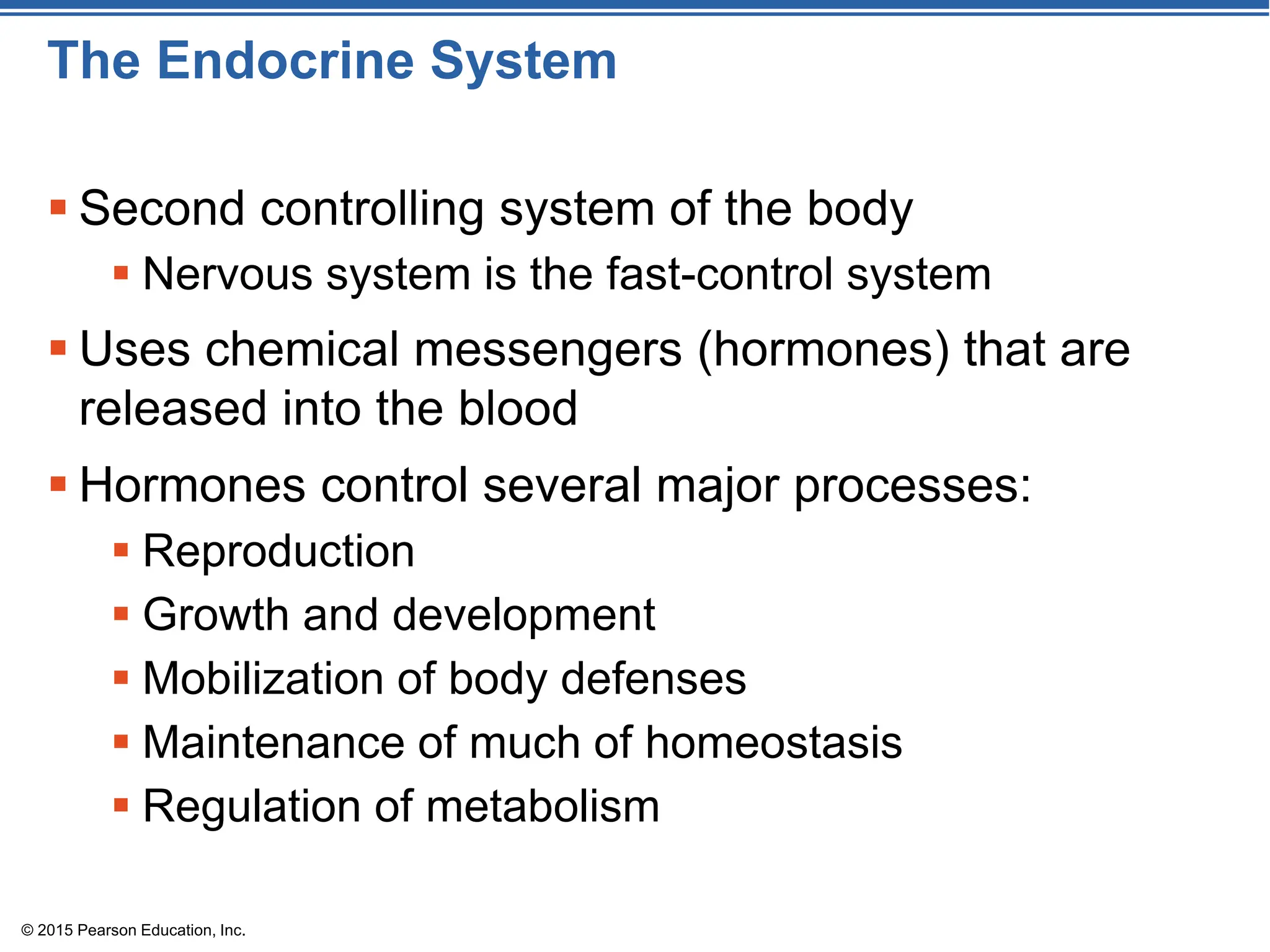 Endocrine system PowerPoint presentation | PPT