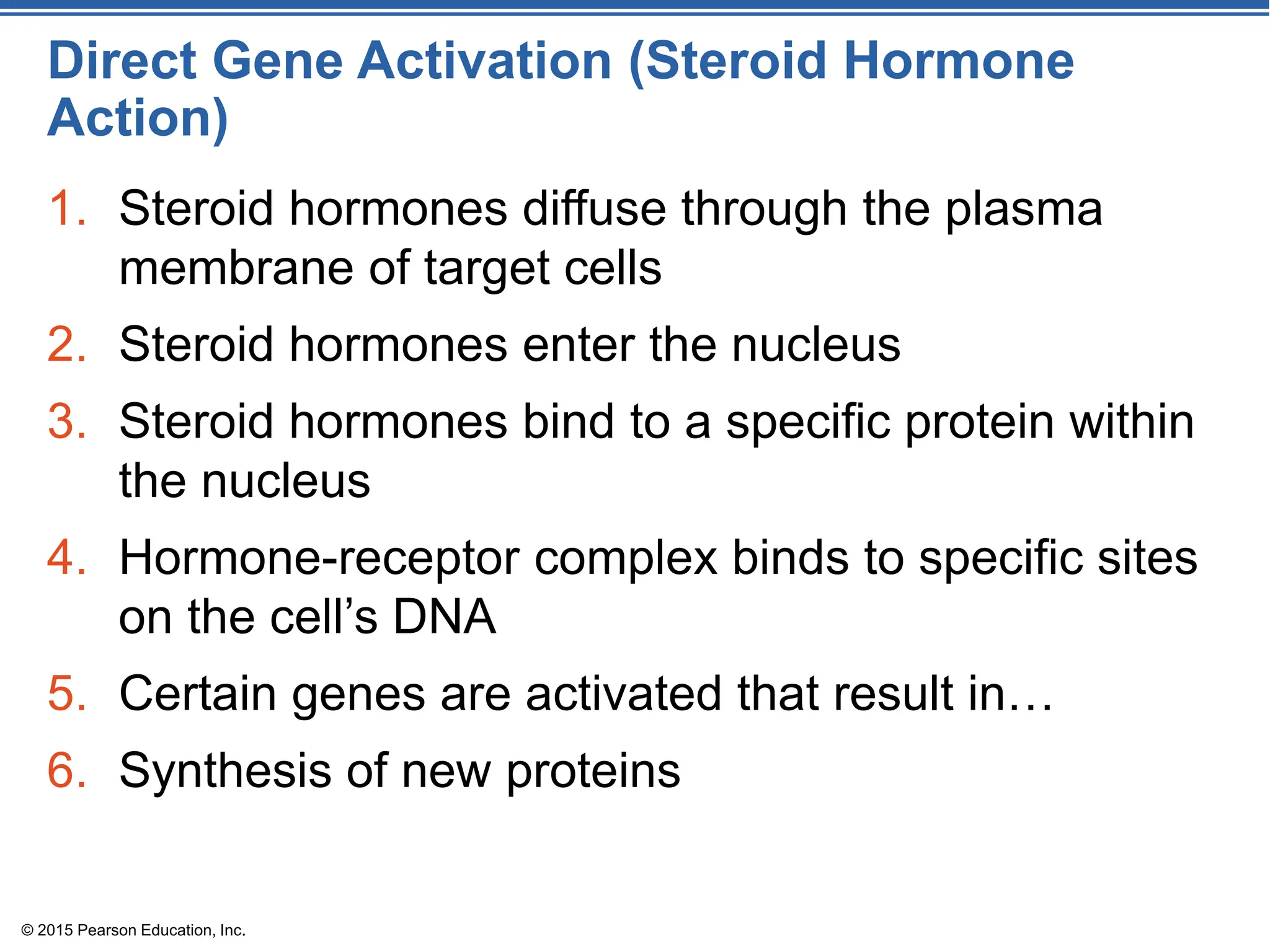 Endocrine system PowerPoint presentation | PPT