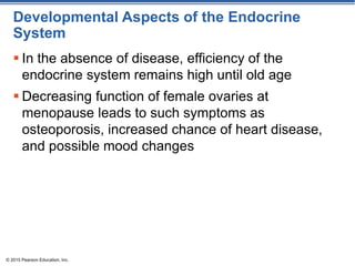 Endocrine system PowerPoint presentation | PPT