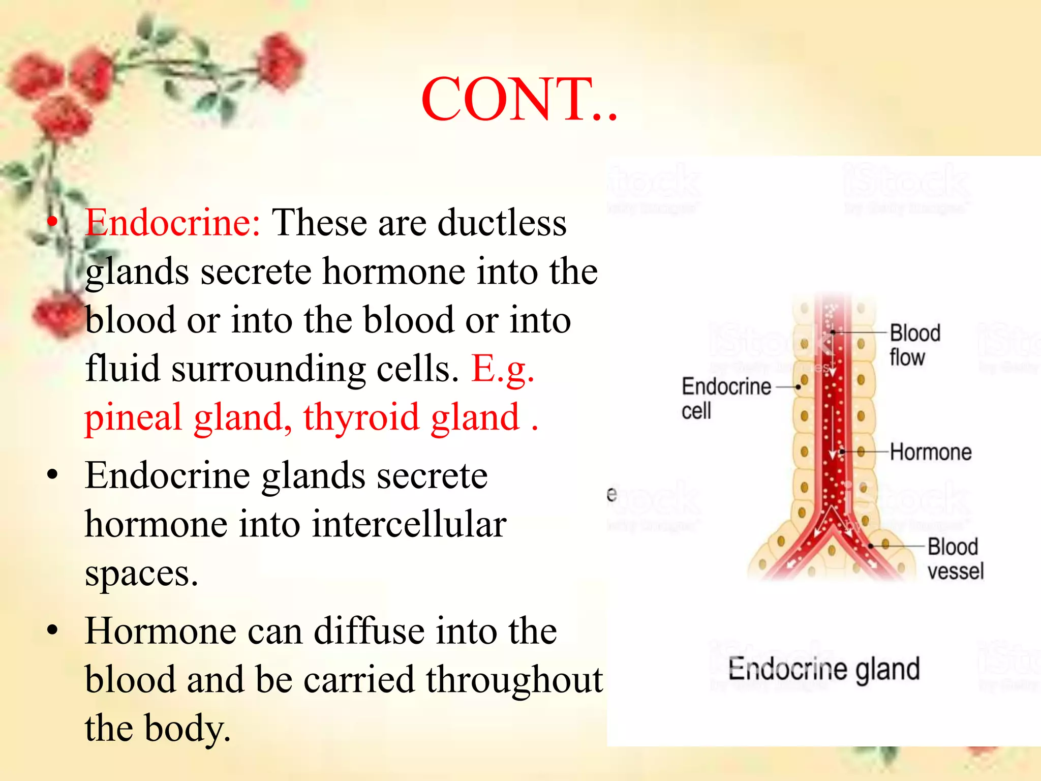 ANATOMY AND PHYSIOLOGY OF Endocrine SYSTEM | PPTX