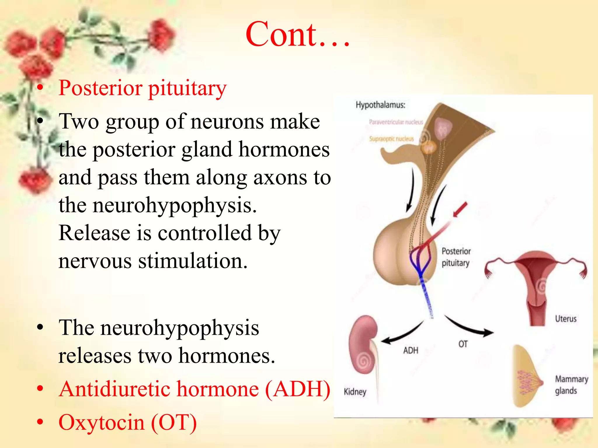 ANATOMY AND PHYSIOLOGY OF Endocrine SYSTEM | PPTX