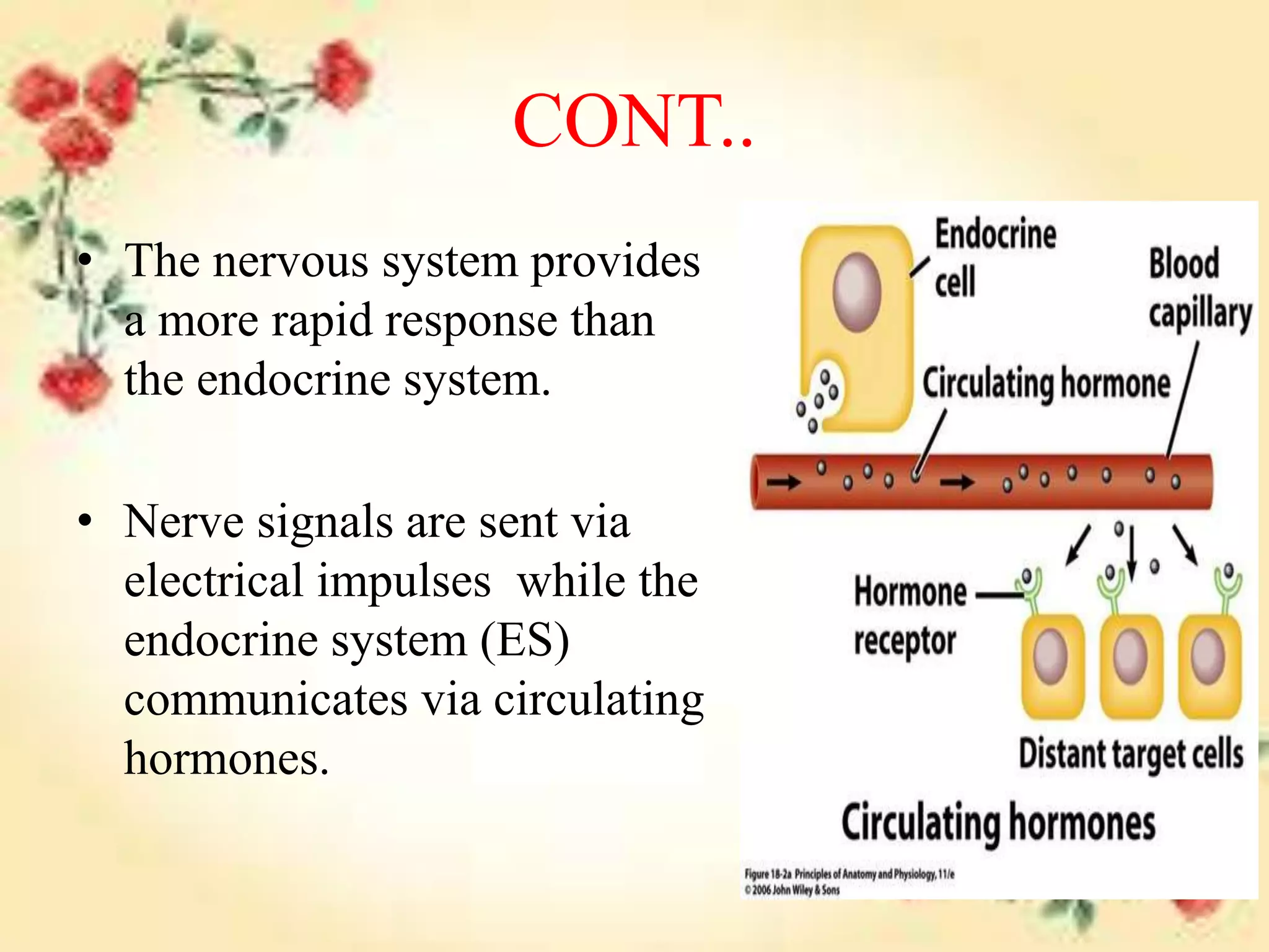 ANATOMY AND PHYSIOLOGY OF Endocrine SYSTEM | PPTX