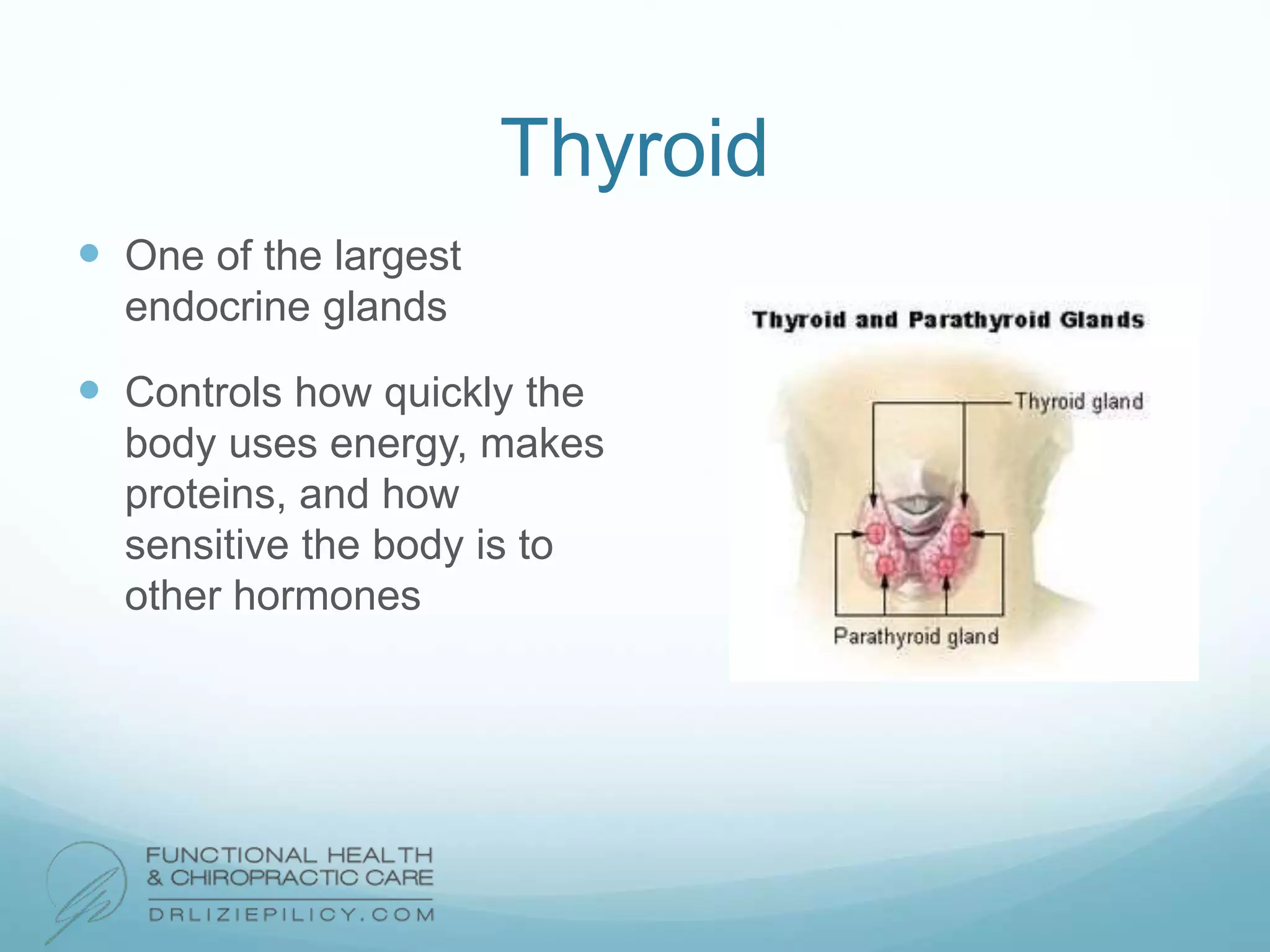 Endocrine and Lymphatic System | PPTX