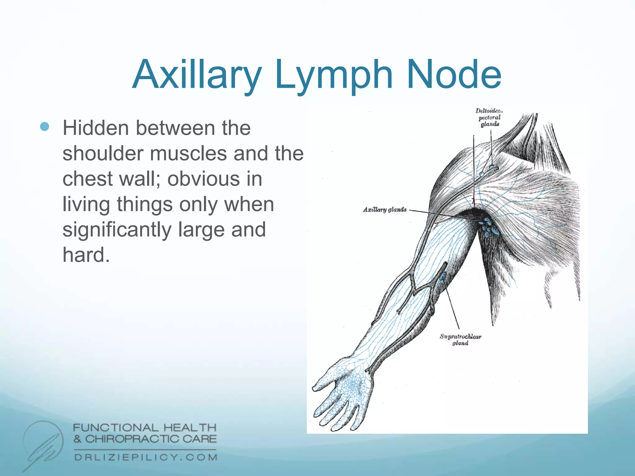 Endocrine and Lymphatic System | PPTX