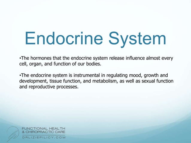 Endocrine and Lymphatic System | PPTX