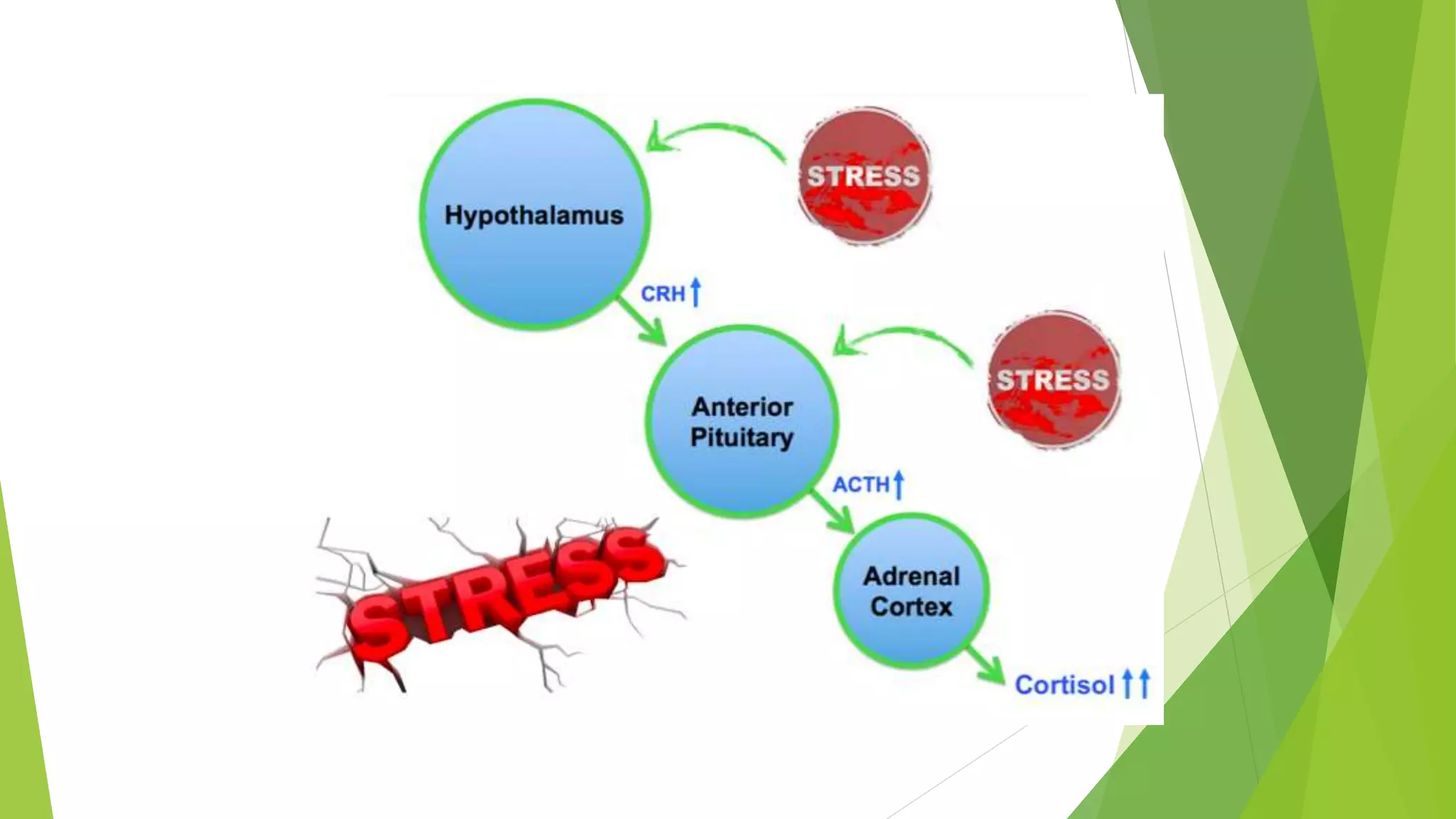 Endocrine and metabolic shock.pptx | Thyroid Disorders | Endocrine and Metabolic Diseases