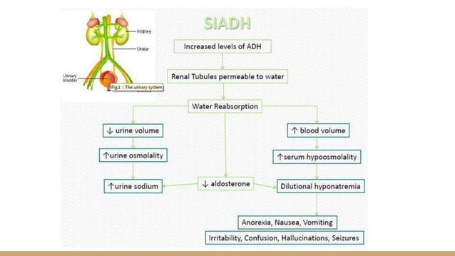 Endocrine Archer NCLEX course Webinar | PPTX | Hormonal Disorders ...