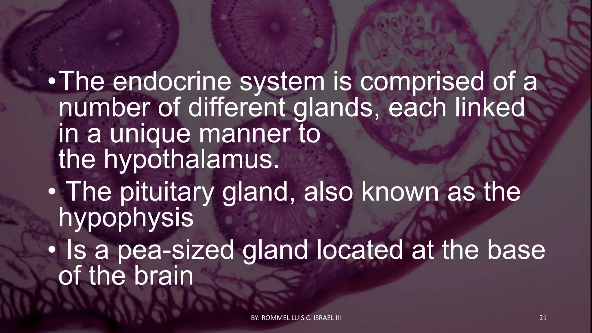 ENDOCRINE ASSESSMENT.pptx