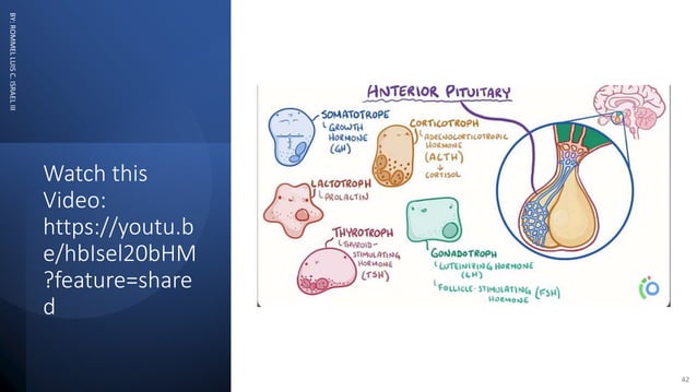 ENDOCRINE ASSESSMENT.pptx | Endocrine and Metabolic Diseases | Diseases ...
