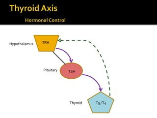 Endocrine charts | PPTX