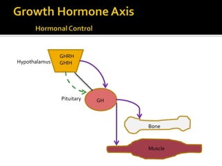 Endocrine charts | PPTX