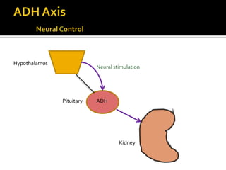 Endocrine charts | PPTX
