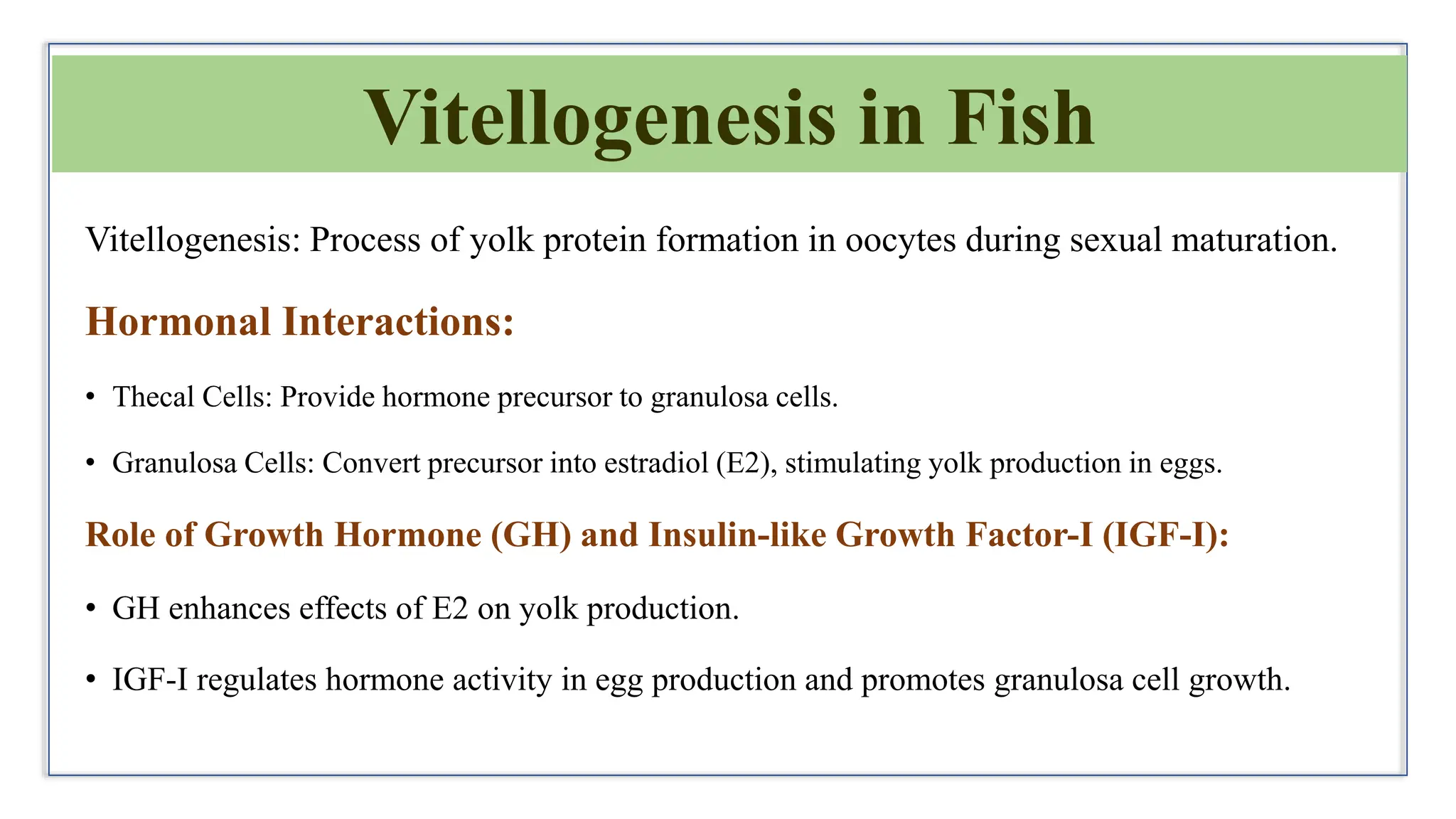 Endocrine control of maturation, spermatogenesis, Oogenesis, Spawning ...
