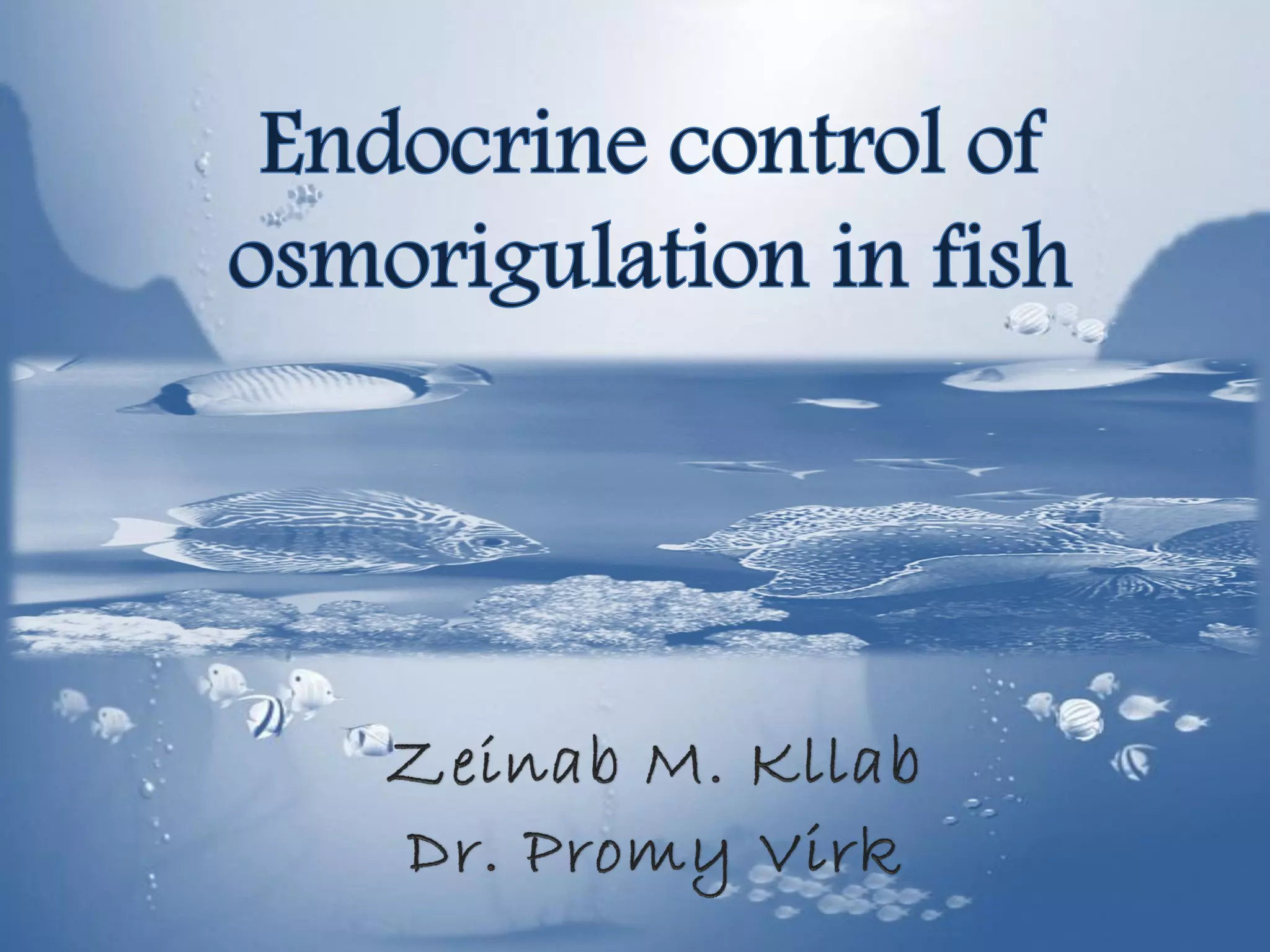 Endocrine control of osmoregulation in fish zeinab klaab | PDF